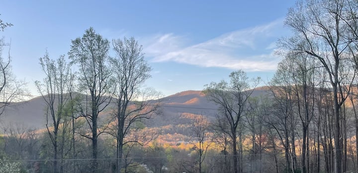 *New Asheville-black Mtn. Craftsman W/ Mtn. Views* - Swannanoa, NC