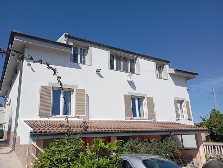 Sassari: All'ombra Del Carrubo Cod Iun Q9545 - Sassari