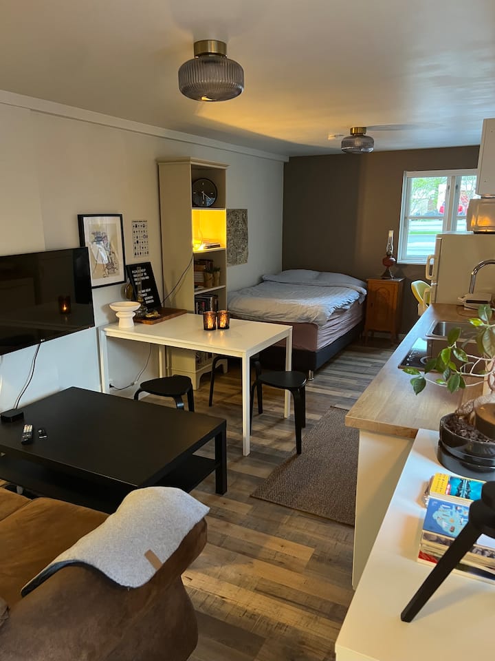 Cosy Apartment In Centrum For 2 Travellers! - Reykjavik