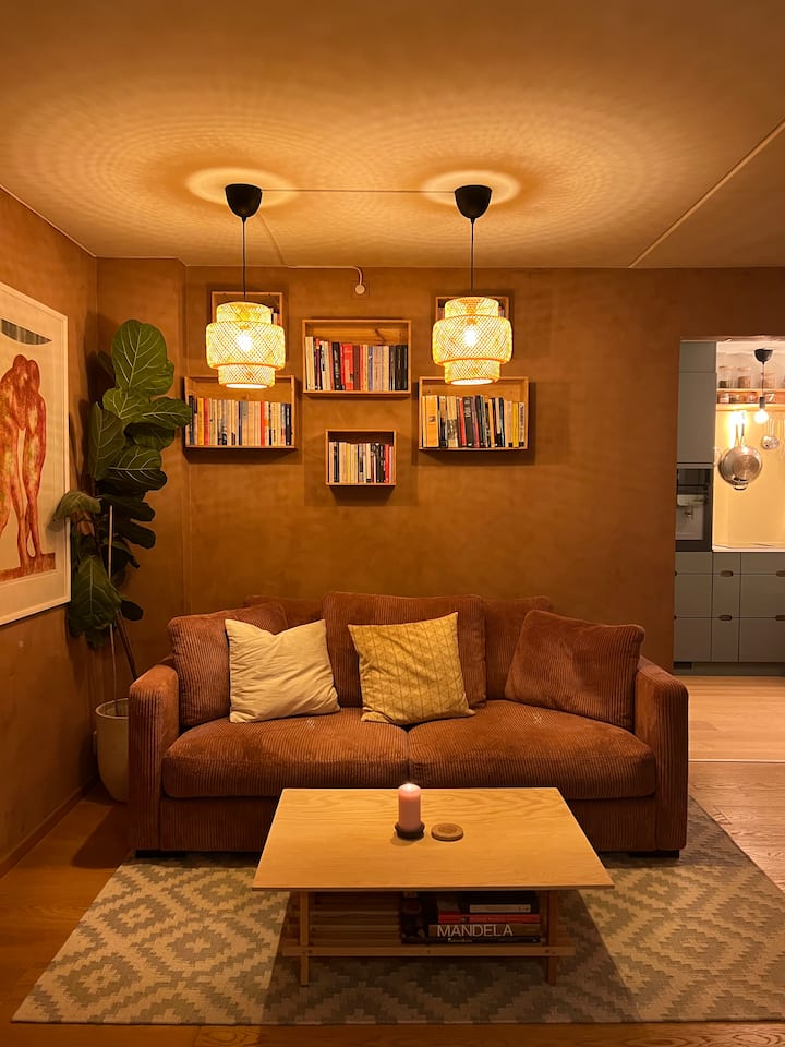 Sentral Leilighet Med Stor Privat Takterrasse - Oslo