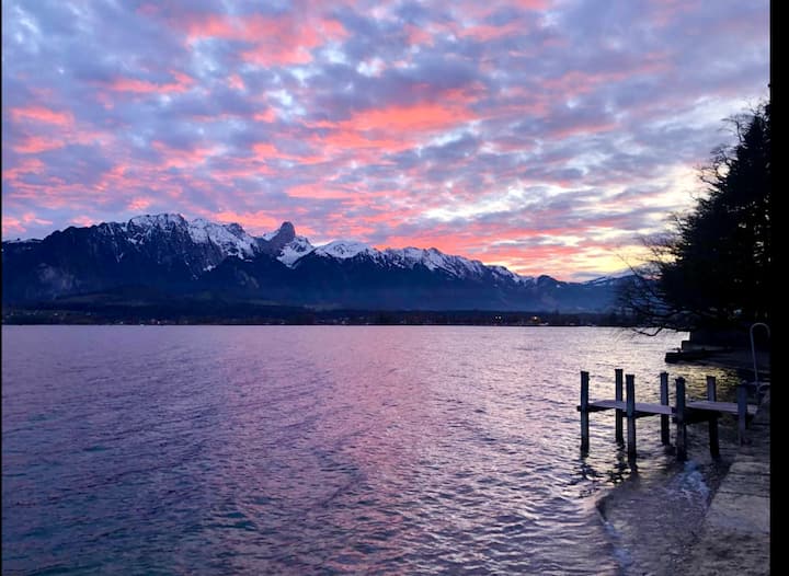 L'oasis Au Lac De Thoune "L'arbe De Citron" - Thun