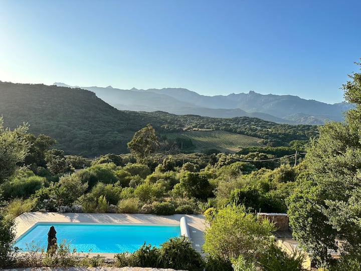 Très Belle Villa Avec Piscine Chauffée - Figari