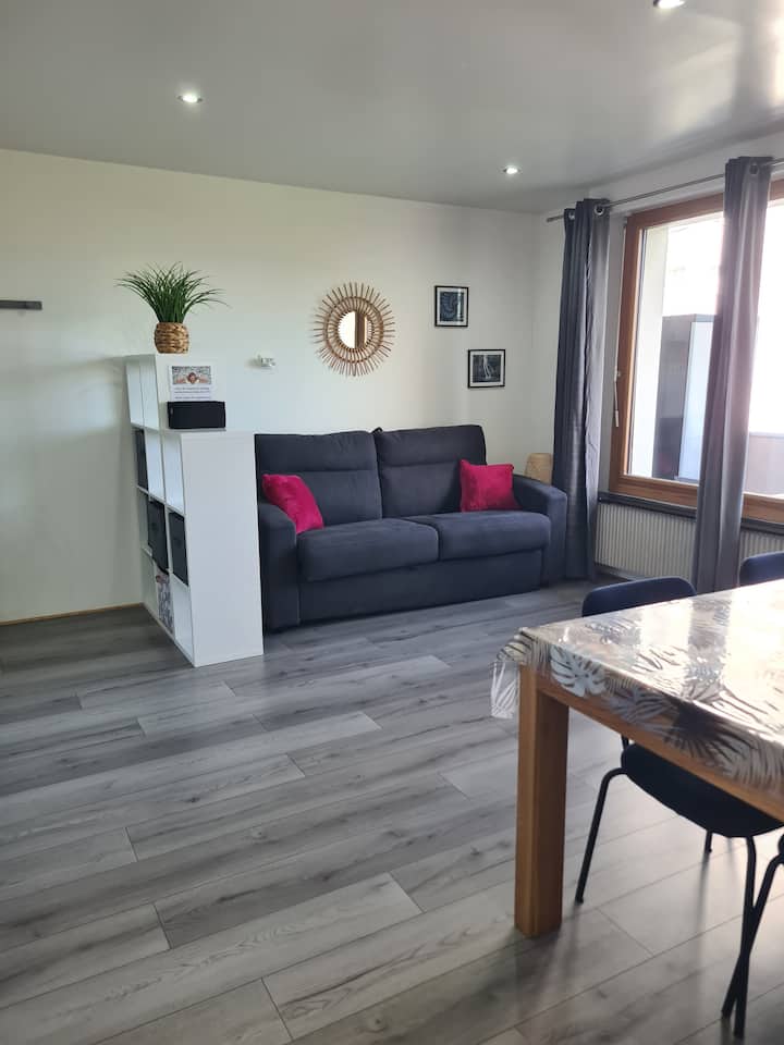 Joli T2 45 M2 Avec Balcon Et Vue Montagne - Chambéry