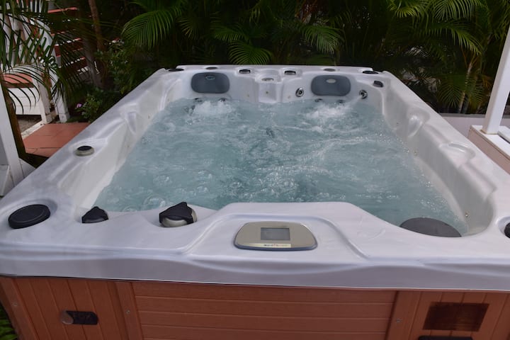 Studio Ananas Avec Jacuzzi. Exceptionnel. - Martinique