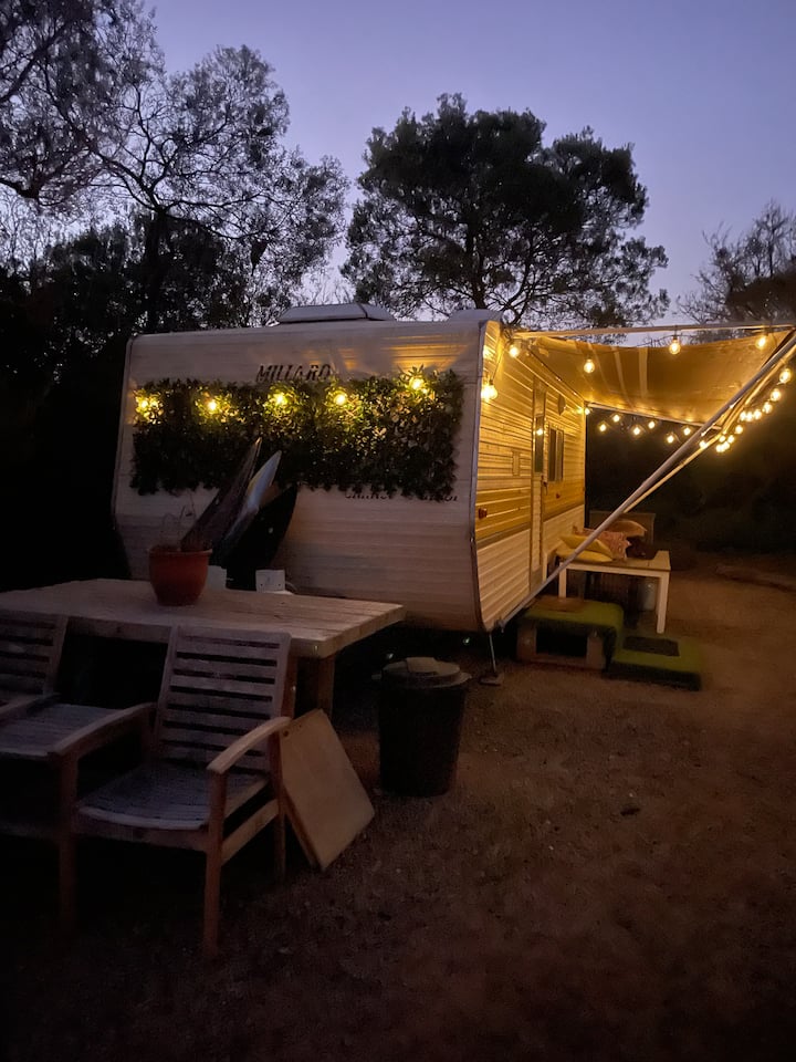 Cute Back Beach Beryl On 7 Acres Near Hot Springs - Cape Schanck