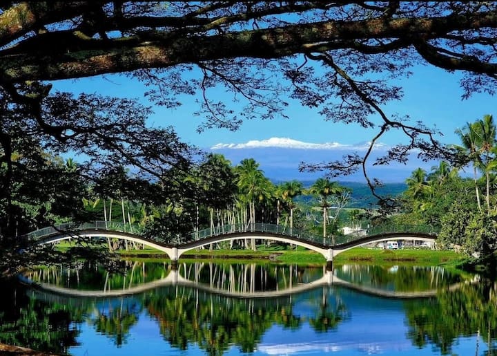 Polynesian 2br 1ba Apt With Work Space - Hilo, HI