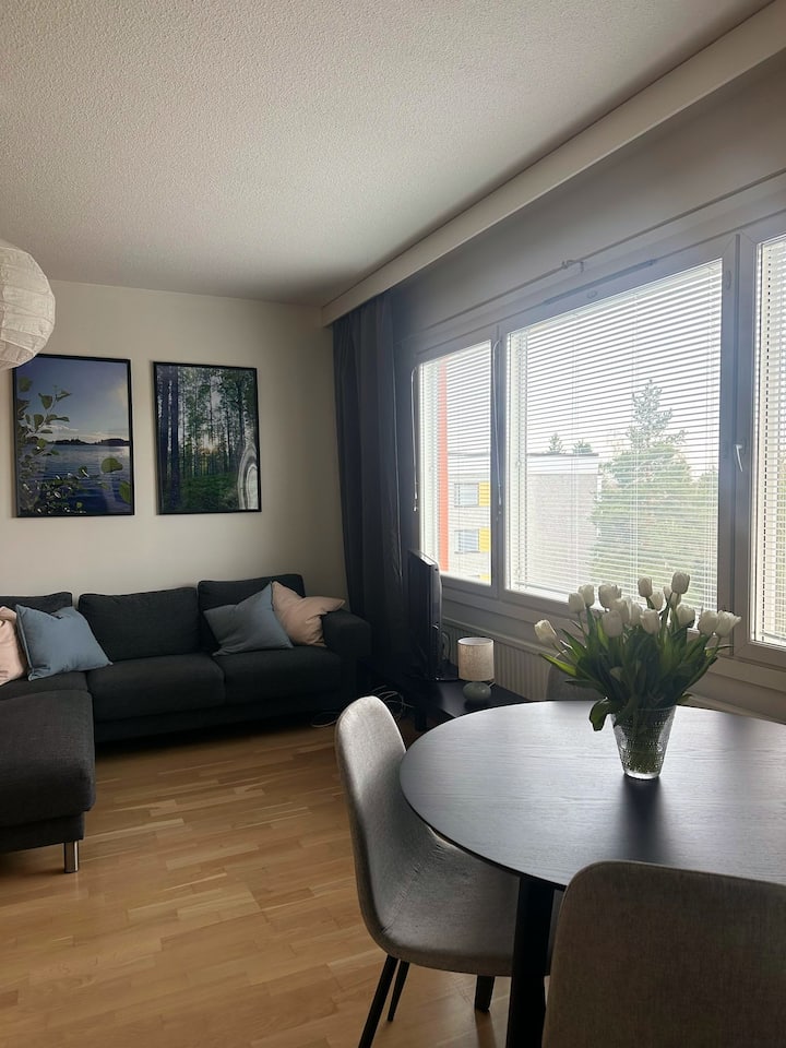 Ylimmän Kerroksen Tilava Yksiö - Akaa