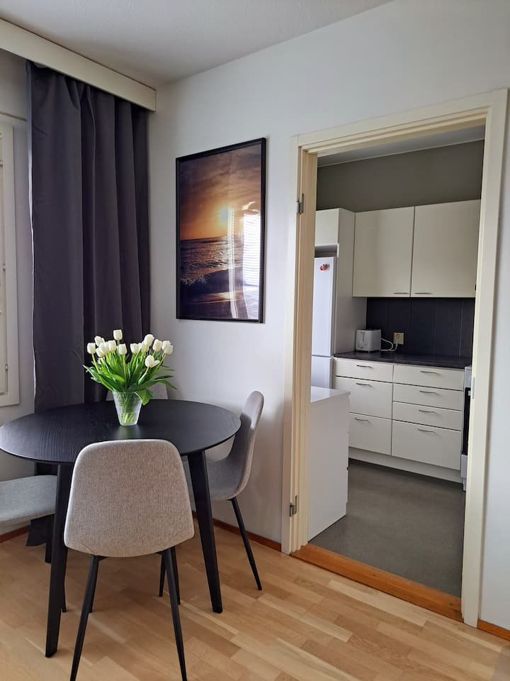 Ylimmän Kerroksen Tilava Yksiö - Pirkanmaa