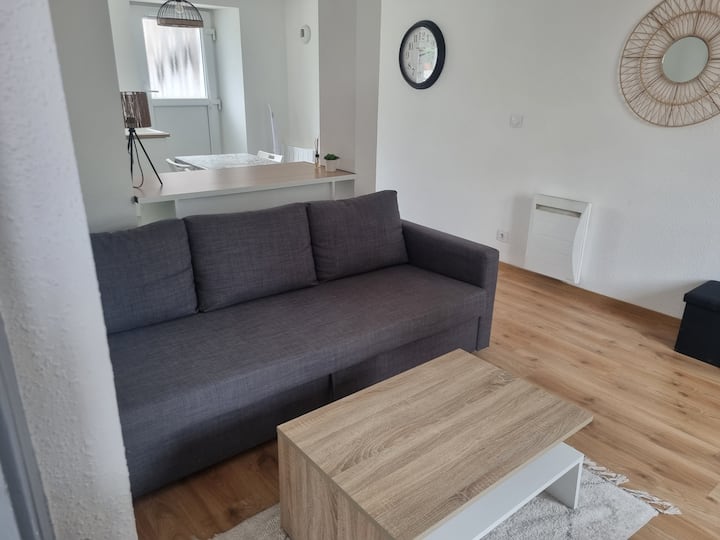 Bel Appartement Avec Parking Gratuit En Face. - Barrage de Michelbach