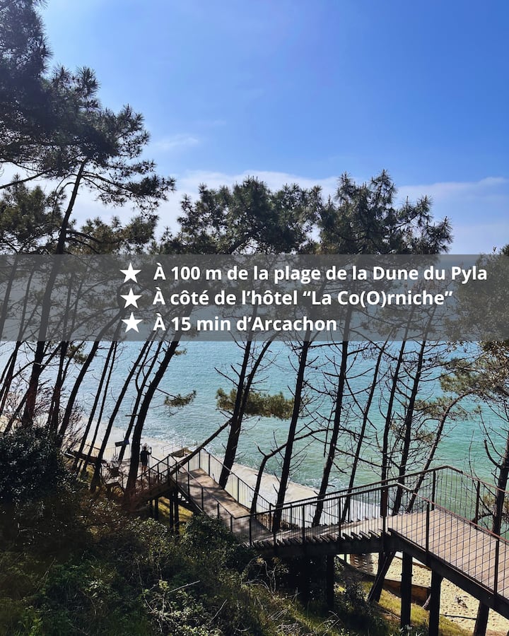 Baialocation - Appartement N°5/ 150 M De La Plage - La Teste-de-Buch