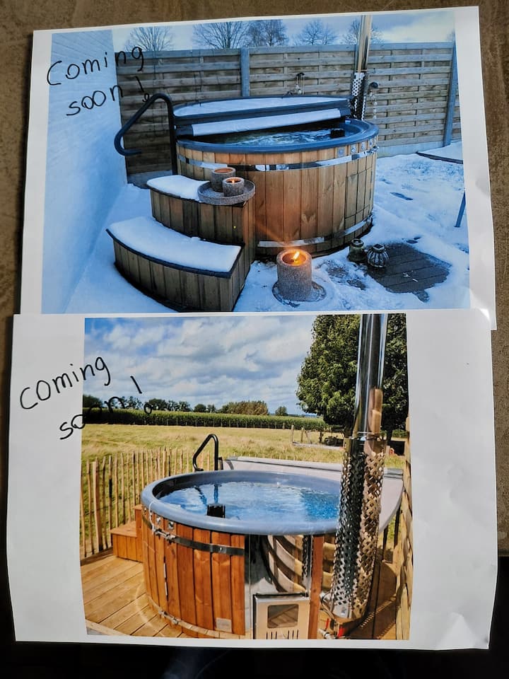 Francorchamps-martin Pêcheur-ijsvogel-kingfisher - Spa