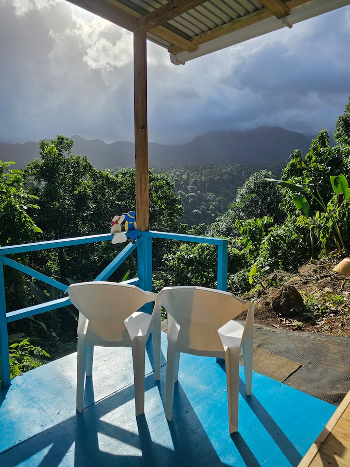 Zephyra's Wisdom 1 Of 2
"Cinnamon"
Sleeps 4 - Dominica