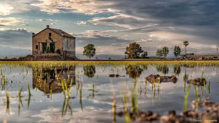 Apartament Rural Al Delta De L'ebre - Amposta