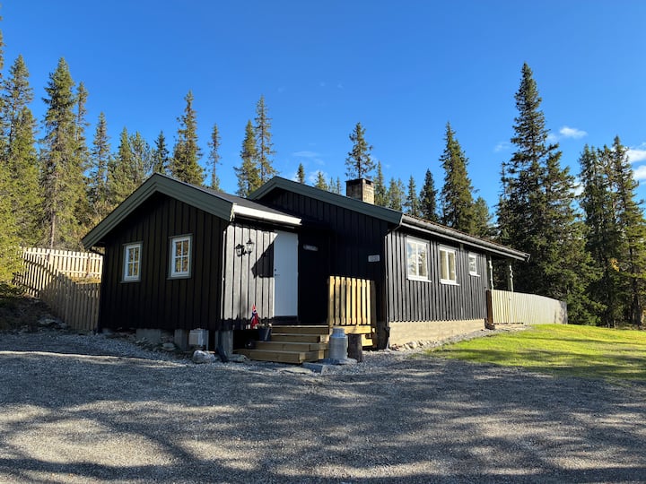 Hytte Med Usjenert Beliggenhet - Vinstra