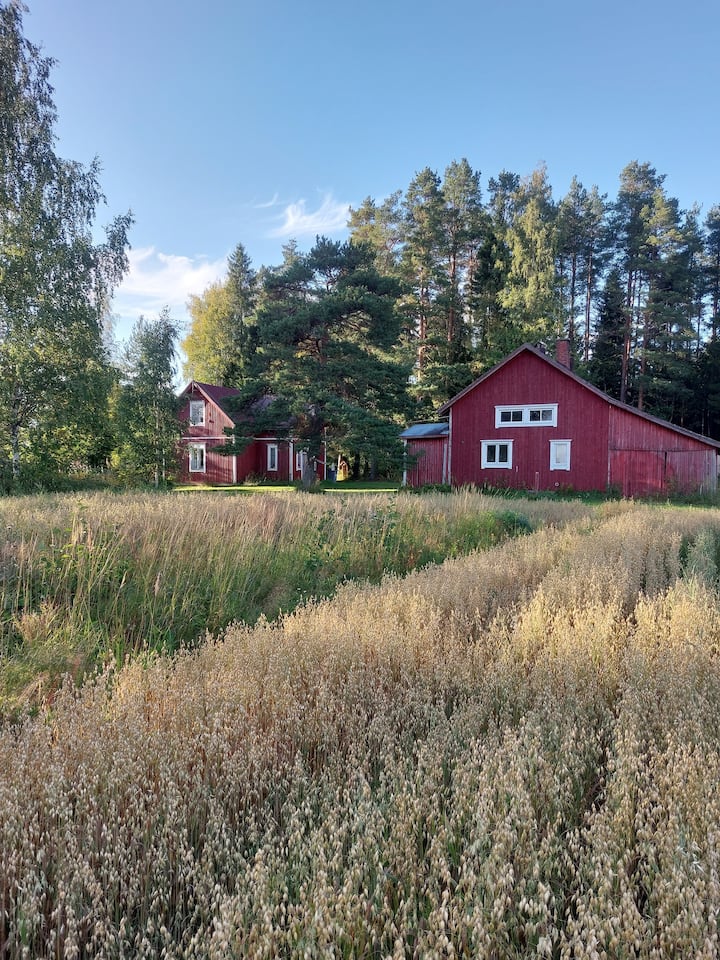 Vaatimaton Mummonmökki. - Kurikka