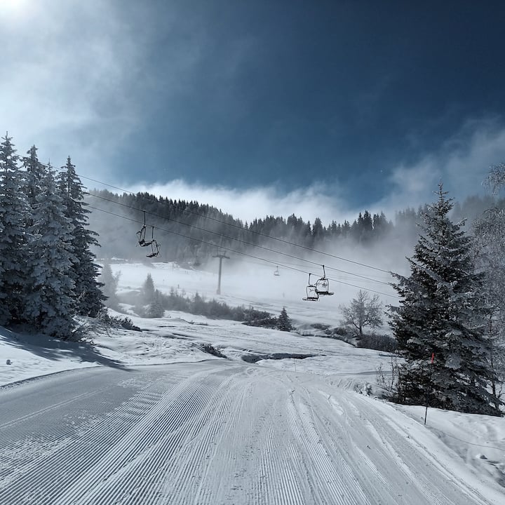 Ski à Pied Apartment Familial - Allevard
