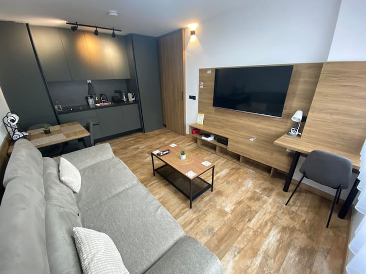 Clean Space-perfect 1br Location-walk Everywhere! - Kosovo