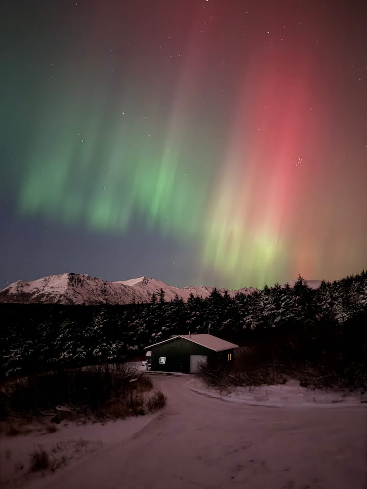 Denali View! Sauna! 1 Mile To Glen Alps/flattop Th - Anchorage, AK