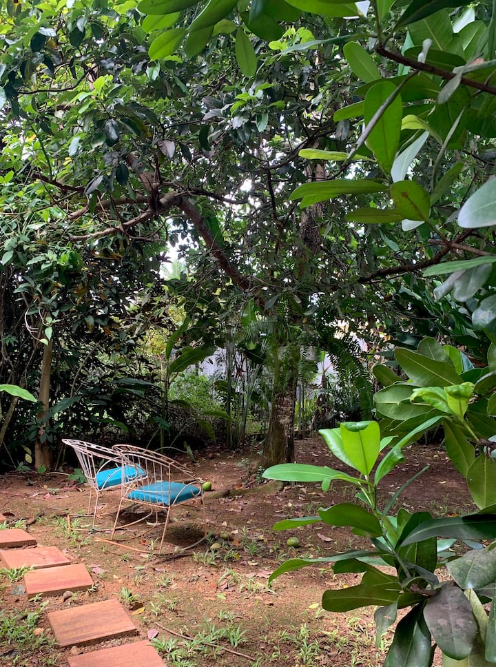 Casa Bihai Caribbean Tropical Garden - Vega Alta