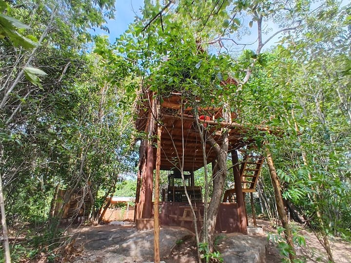 Serenity, Tree House, Plus Own Kitchen - 斯里蘭卡