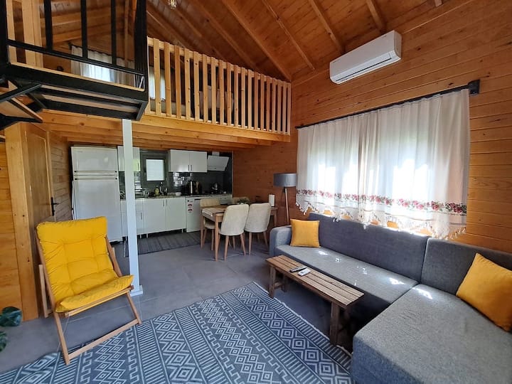 Müstakil,bahçeli Bungalov… Villa Baldem… - Datça