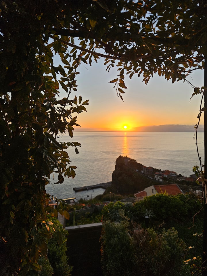 Madeira Pearl 145984/al - Ribeira Brava