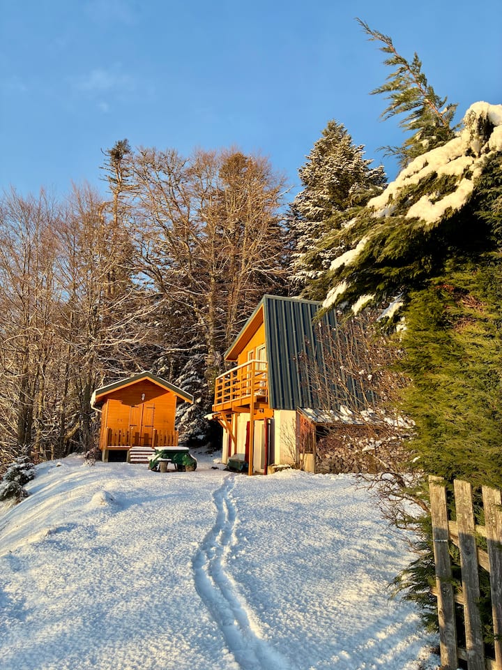 Charmant Chalet Dans Les Monts Du Forez - Ambert