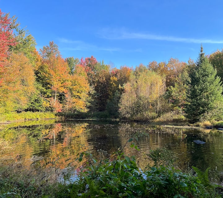 Havre De Paix Entouré D'une Forêt Majestueuse. - Granby