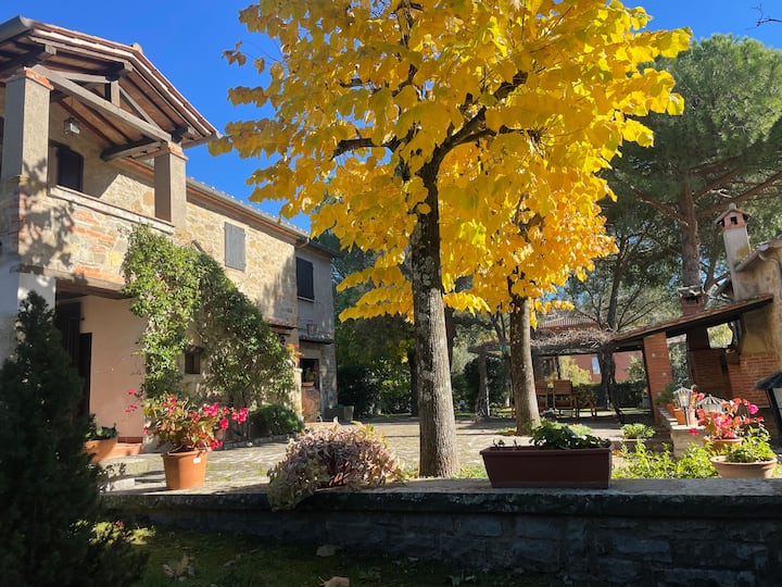 Tipico Casolare In Pietra - Passignano sul Trasimeno