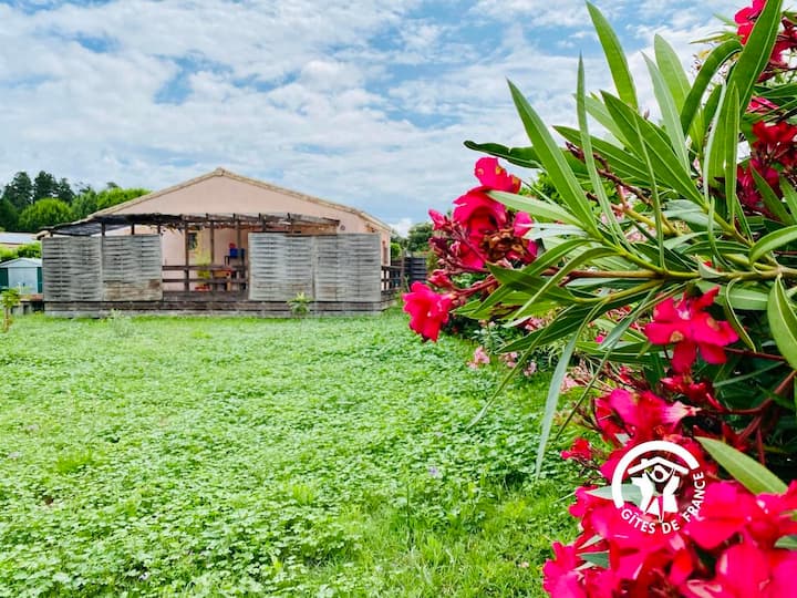 Villa Avec Baignoire Balnéo Et Jardin Carcassonne - Carcassonne
