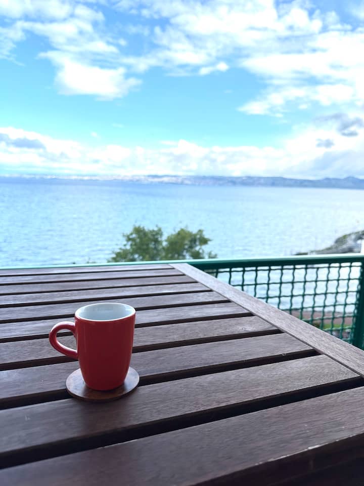 Breathtaking View On The Leman Lake - Évian-les-Bains