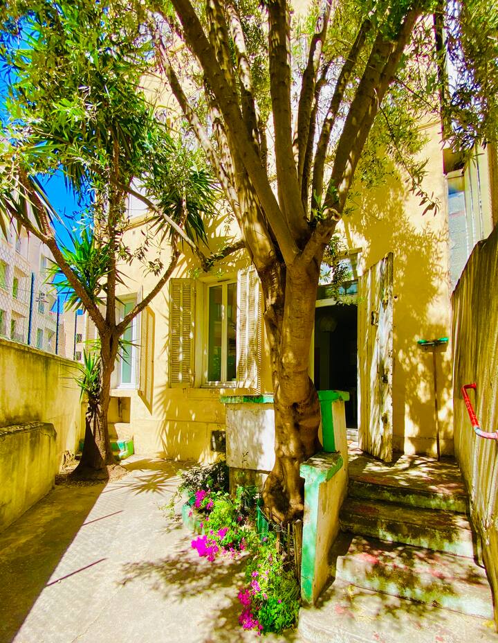 Bel Appartement T2 Avec Une Cour Verdoyante - Marseille