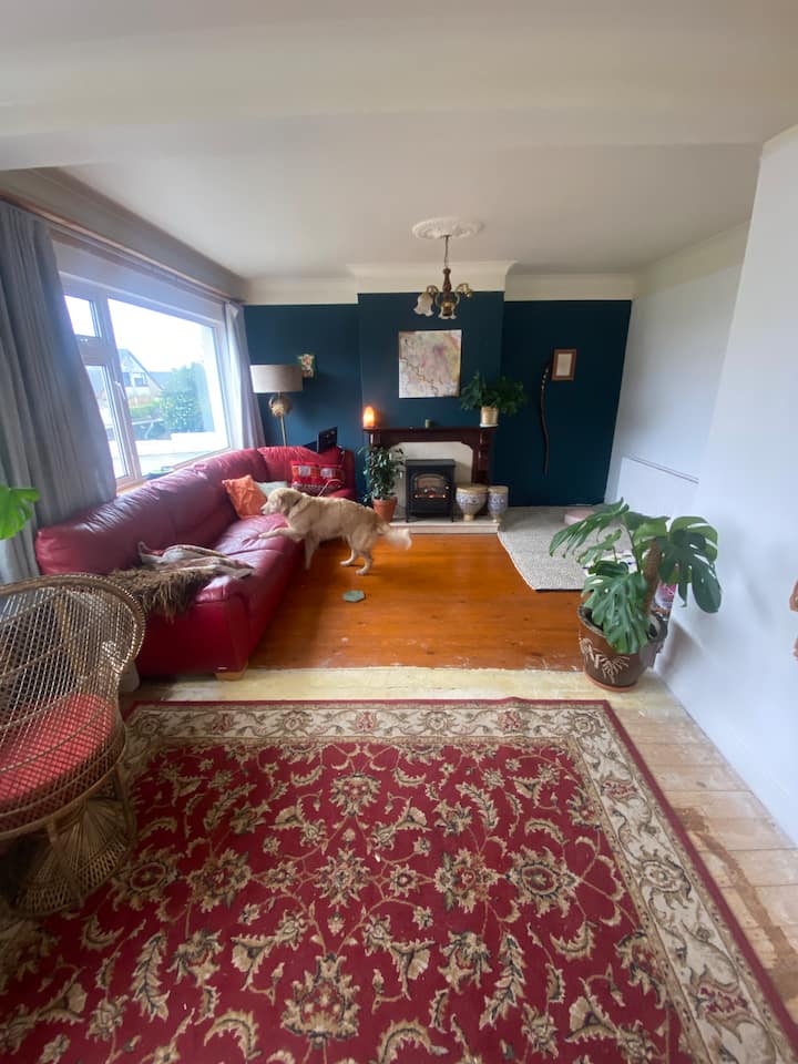 A Cosy Stay In A Quirky Home Near Cork Airport - Cork