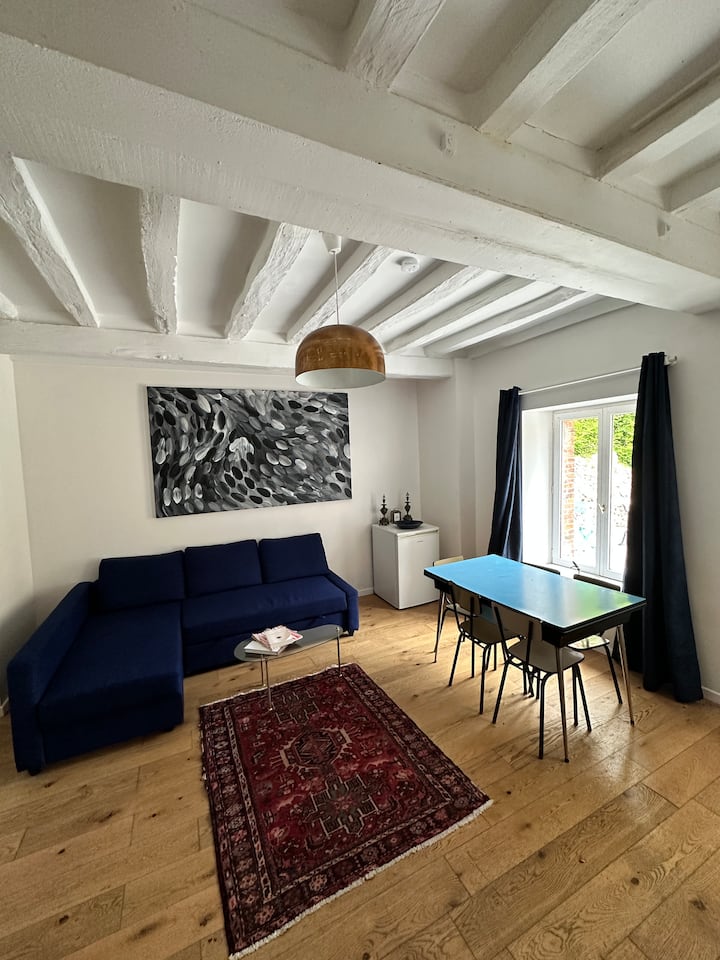 Appartements Au Cœur D'un Cadre Unique - Louviers