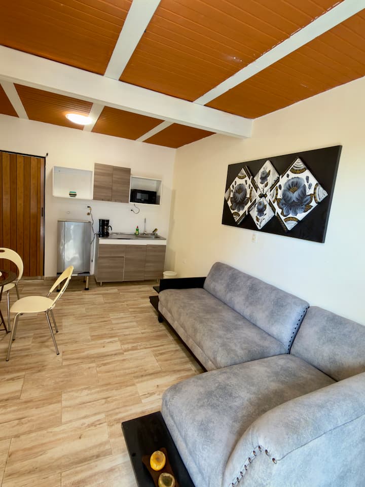 Adorable 1 Bedroom Apartment - Roldanillo