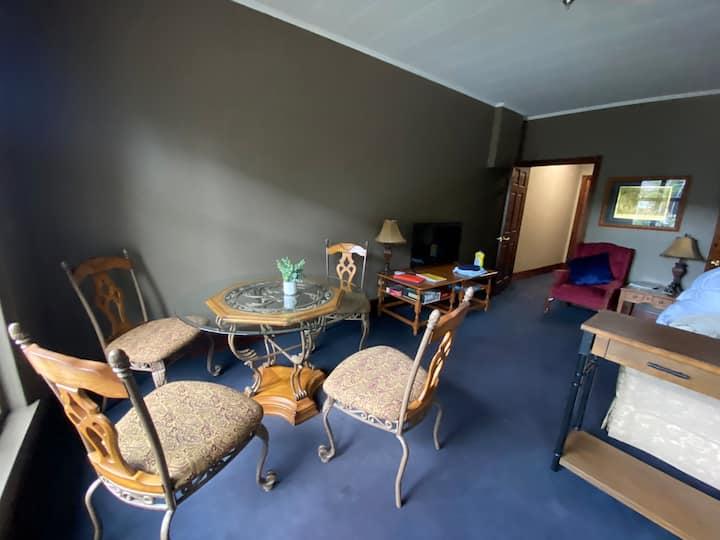 Apartment With View In Heart Of Watkins Glen - Watkins Glen