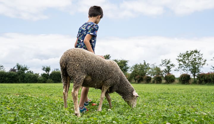 Escapade Champêtre à La Ferme Près De Pau - Pau