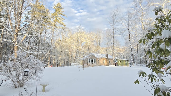 Modern & Private Cottage Minutes From Woodstock - Woodstock, NY