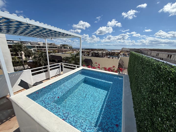 Private Rooftop Plunge Pool! 4br, Near Beach & 5th - 플라야 델 카르멘