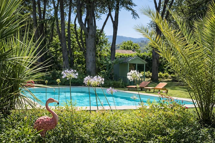 Iconic Design Villa With Pool & Park Near Lucca - Lucca
