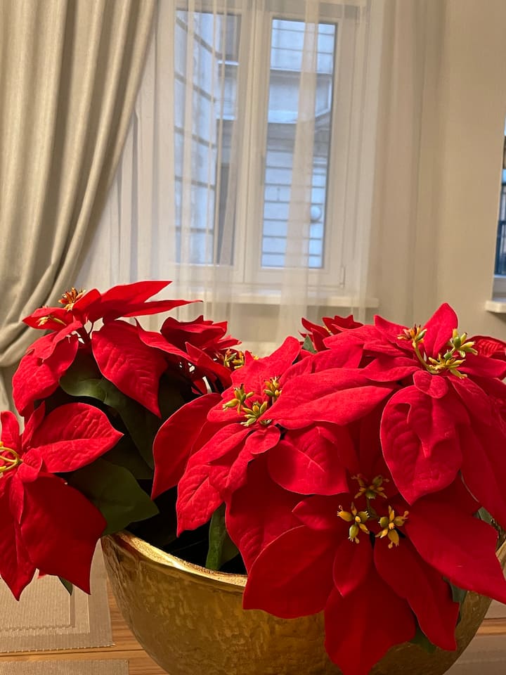 Spacious 5 Bedroom Apartment In The Centre Of Riga - Riga