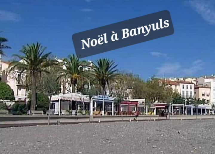 Appartement Indépendant 42 M2 .Terrasse. Piscine - Banyuls-sur-Mer