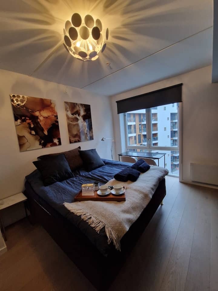 Bjørvika Apartment - Oslo
