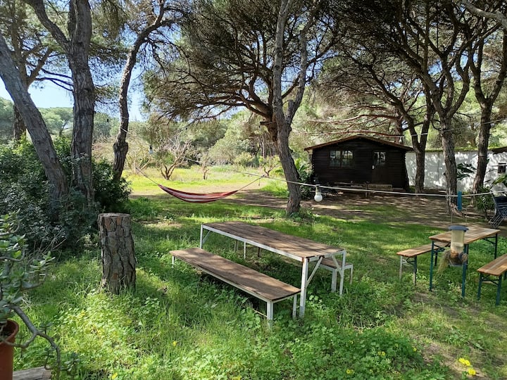 Cabañas De Verón - Andalucía