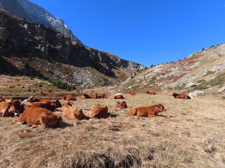 Chalet Vanoise - Aussois