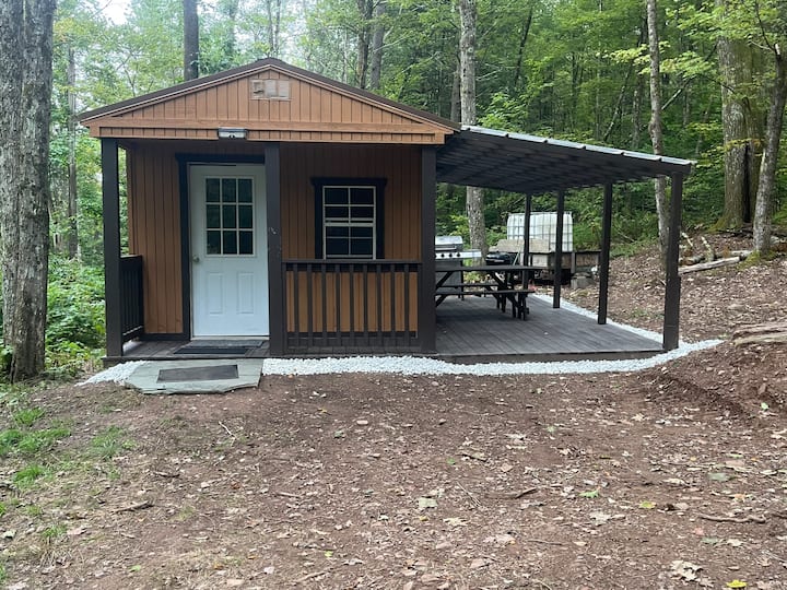 Secluded Peaceful Cabin In The Woods! - Oneonta, NY