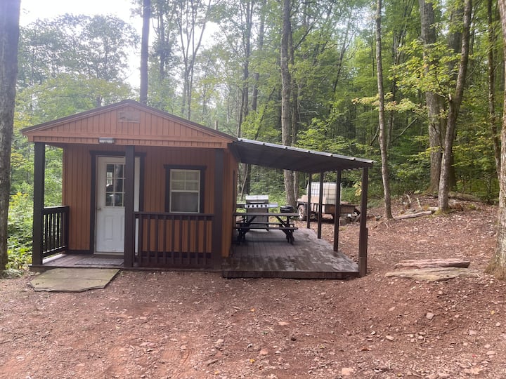Secluded Peaceful Cabin In The Woods! - Oneonta, NY
