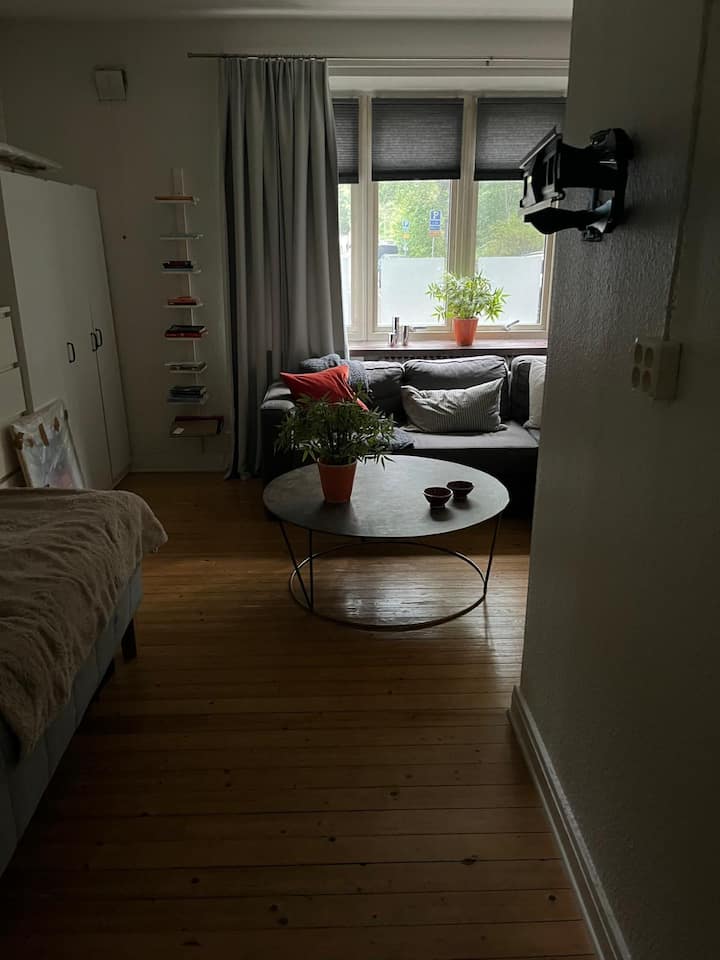5 Min To Liseberg. One Double Bed And A Sofa Bed. - Gotemburgo