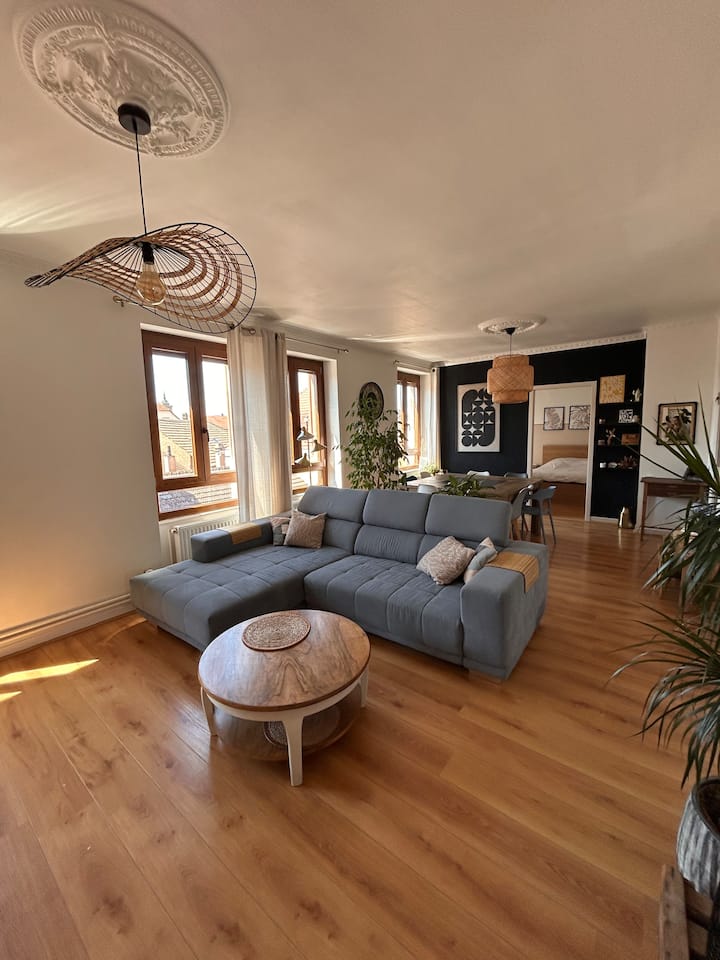 Appartement 4 Chambres Colmar Centre + 1 Parking - Colmar