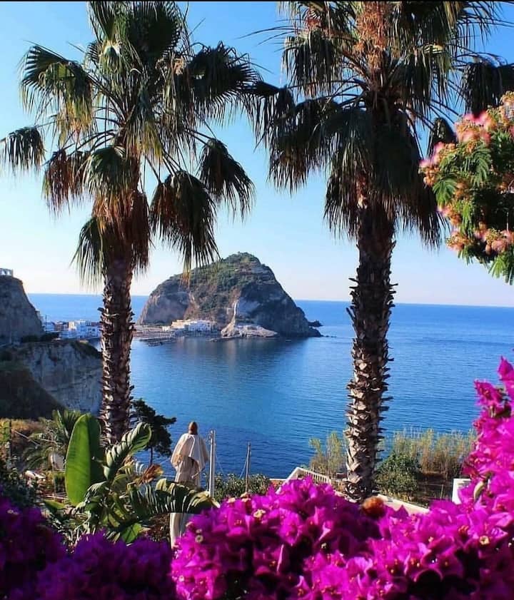 Mare Nostrum - Maison à La Mer - S'angelo Ischia - - Forio